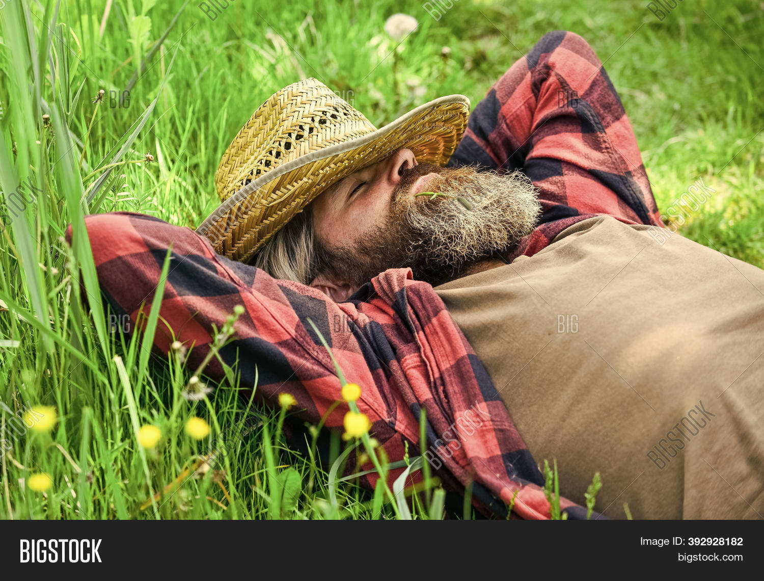Rest Countryside. Image & Photo (Free Trial) | Bigstock