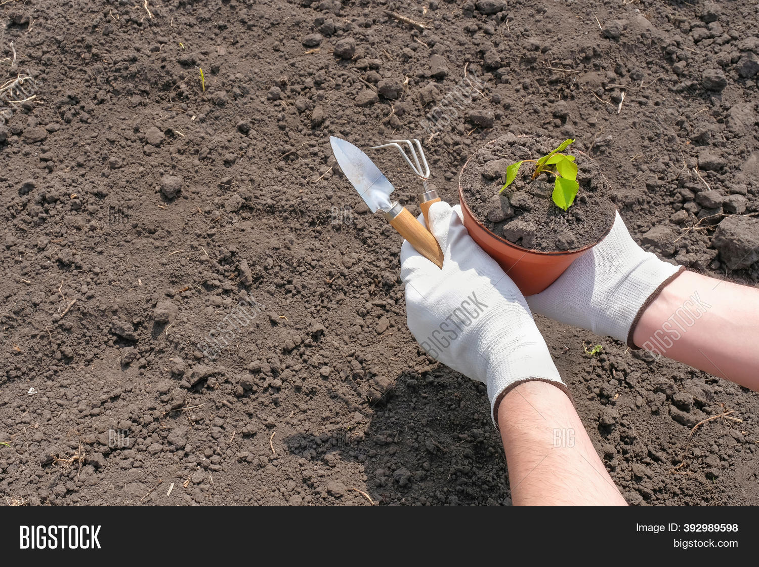 Hands Gardener Tool Image & Photo (Free Trial) | Bigstock