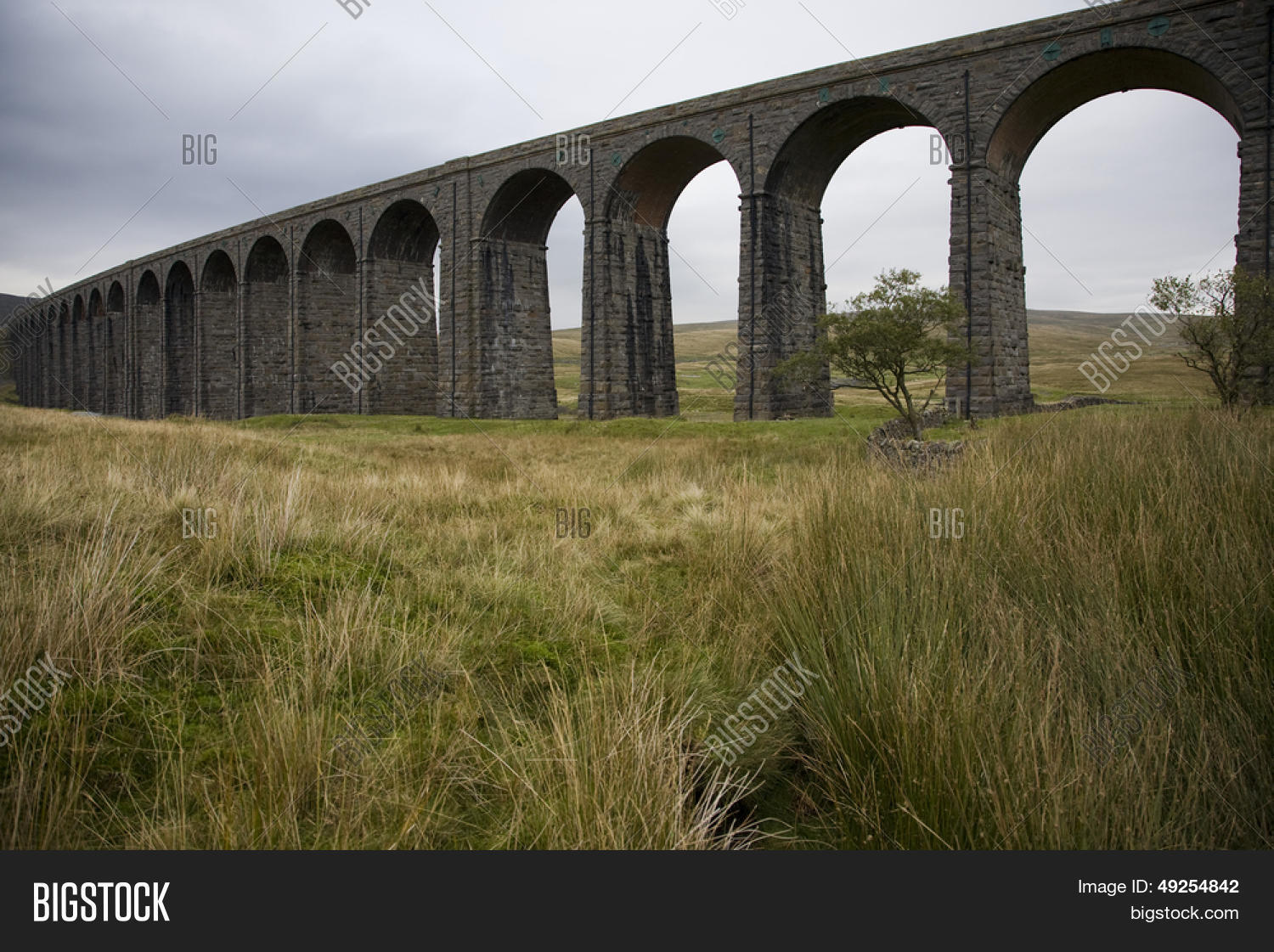 Ribblehead Viaduct Image & Photo (Free Trial) | Bigstock