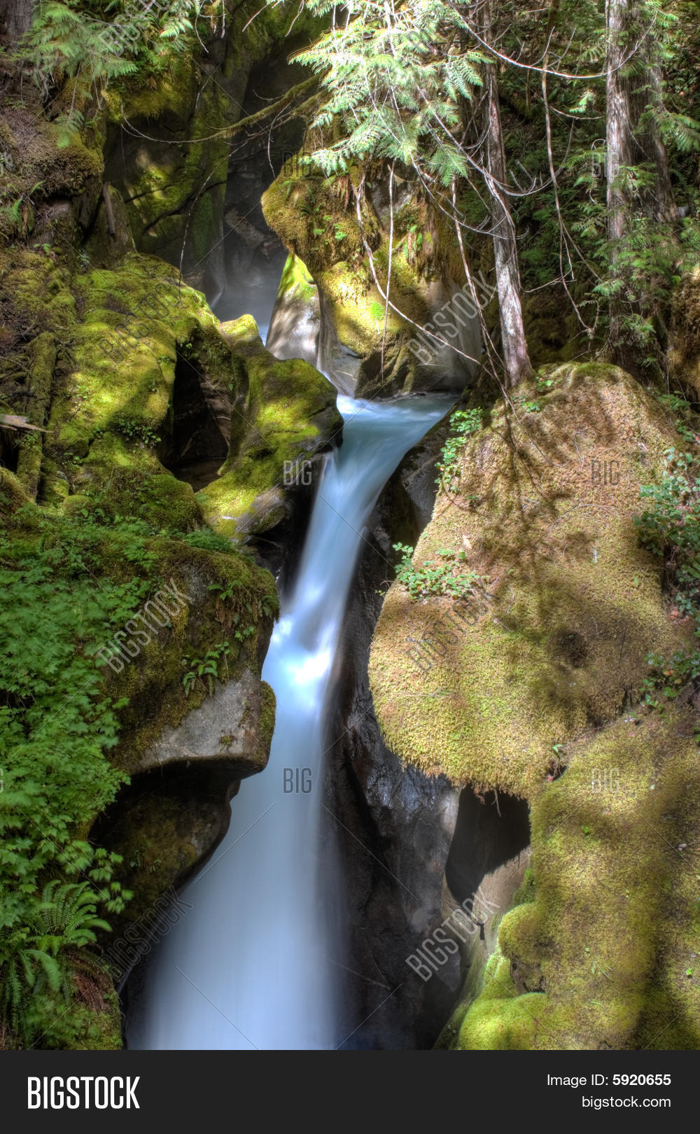 Ladder Creek Falls Image & Photo (Free Trial) | Bigstock