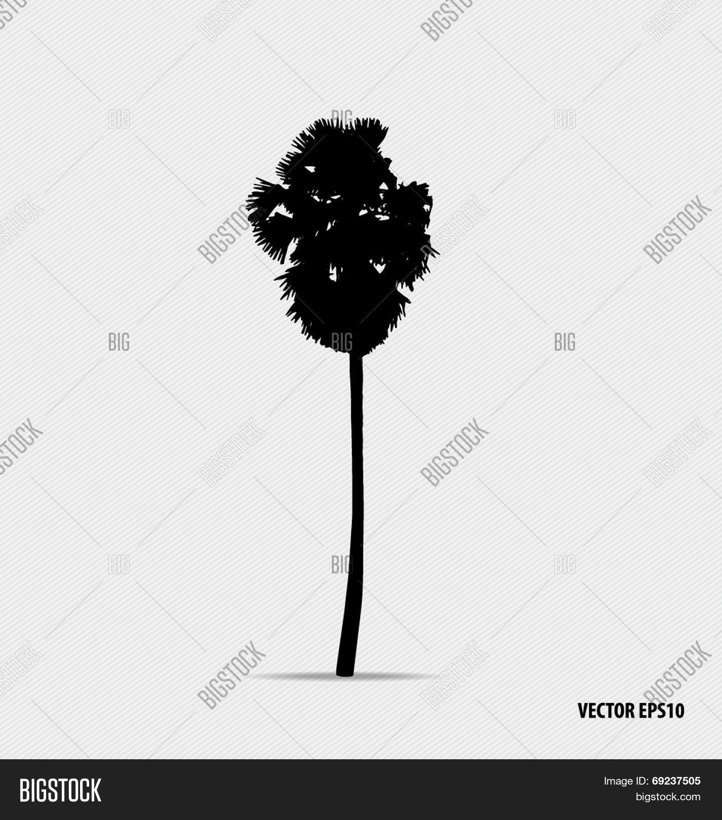 Tree Silhouette. Vector & Photo (Free Trial) | Bigstock