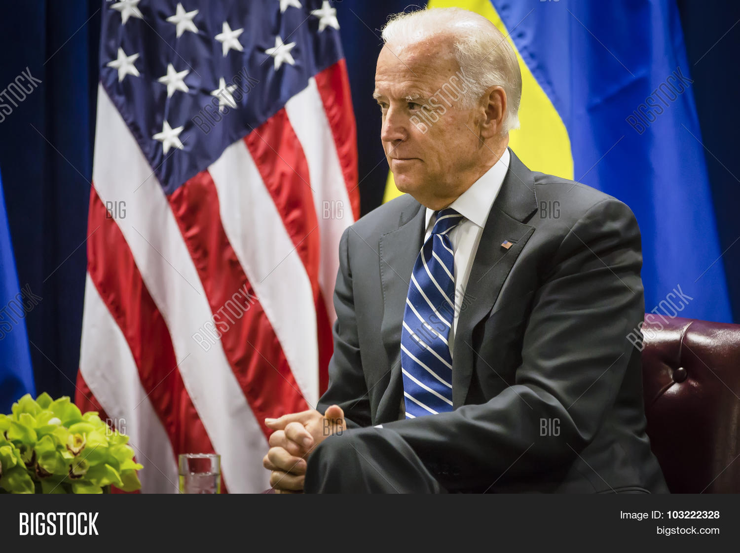 Vice President Usa Joe Image & Photo (Free Trial) | Bigstock