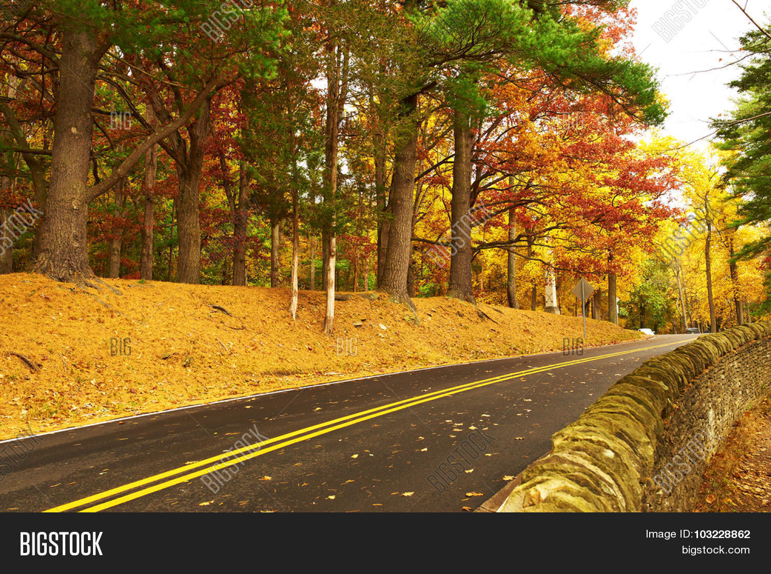 Autumn Scene Road Image & Photo (Free Trial) | Bigstock
