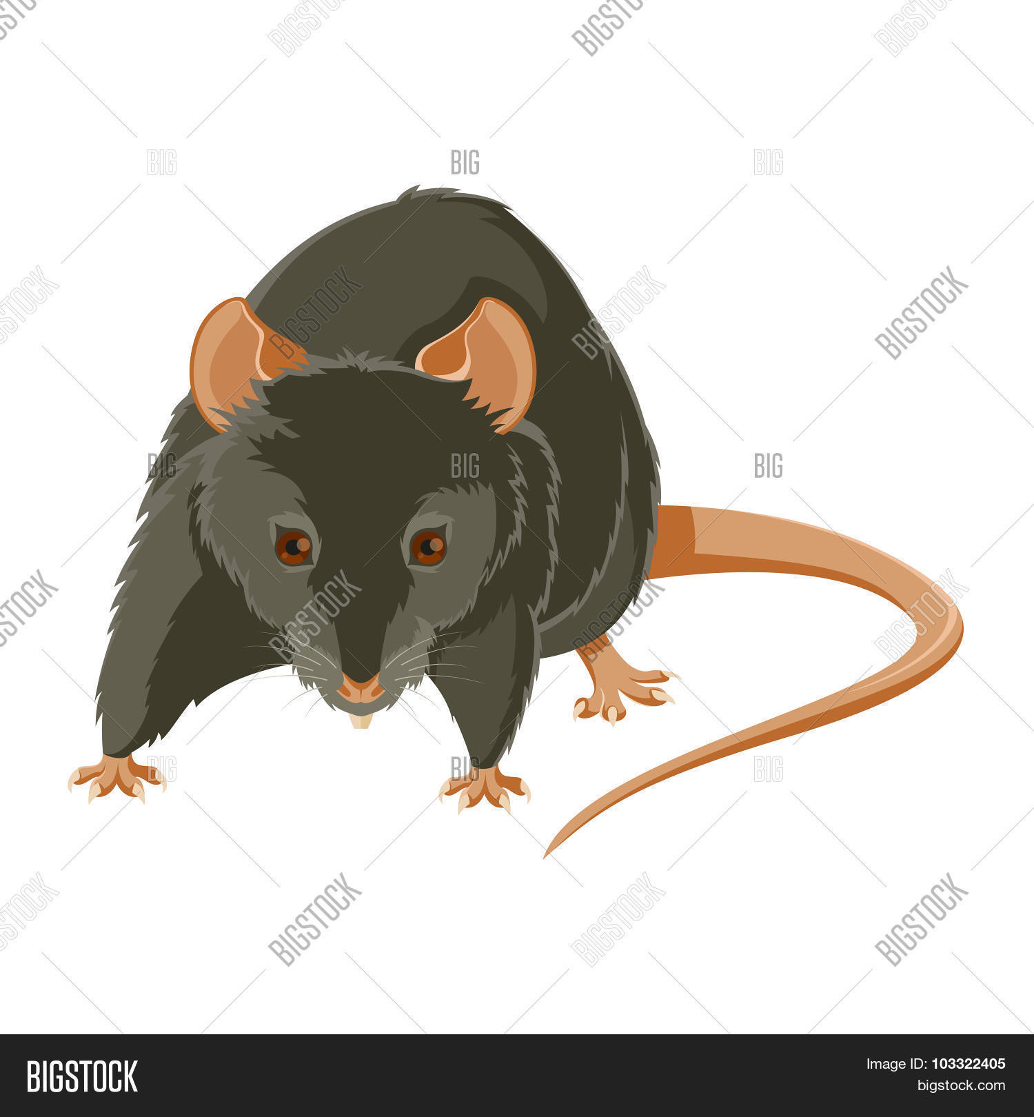Evil Rat Vector & Photo (Free Trial) | Bigstock