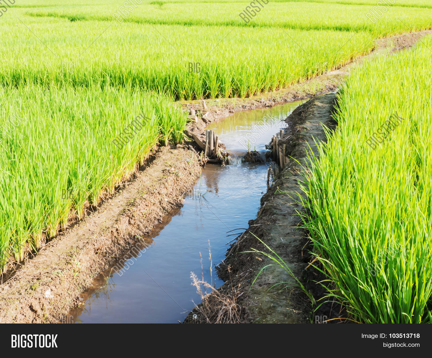 Small Water Dam Image & Photo (Free Trial) | Bigstock