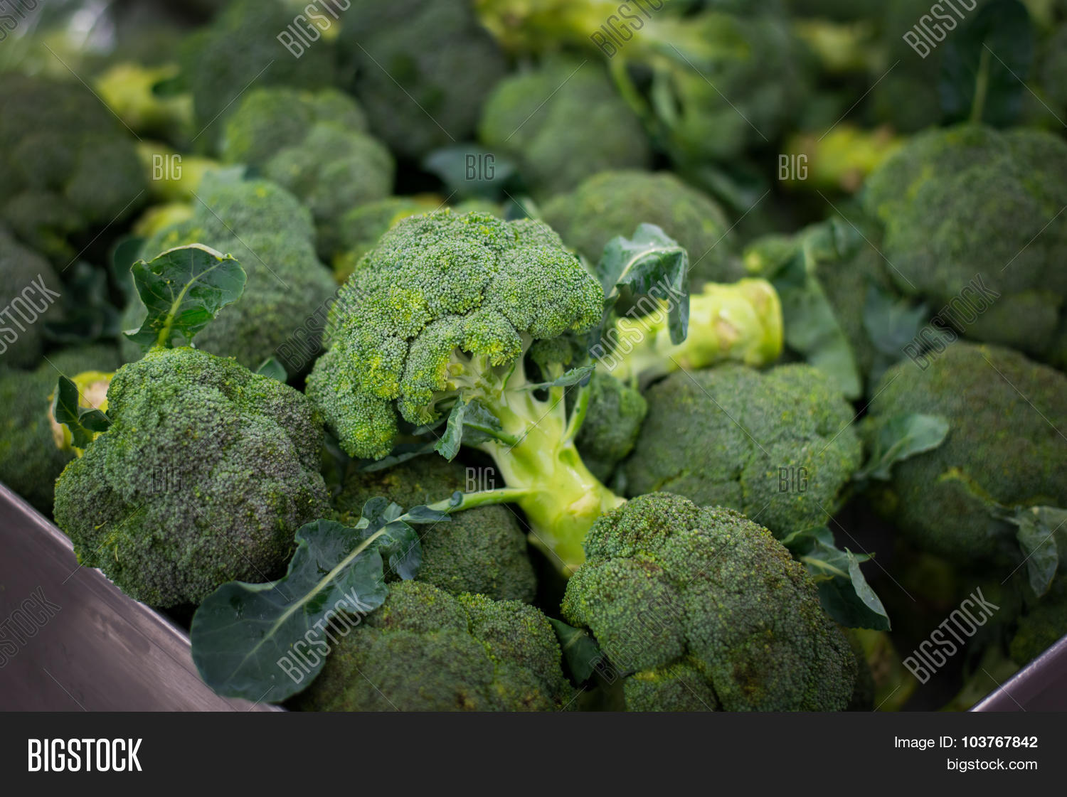 Imagen y foto Broccoli Pile On (prueba gratis) | Bigstock