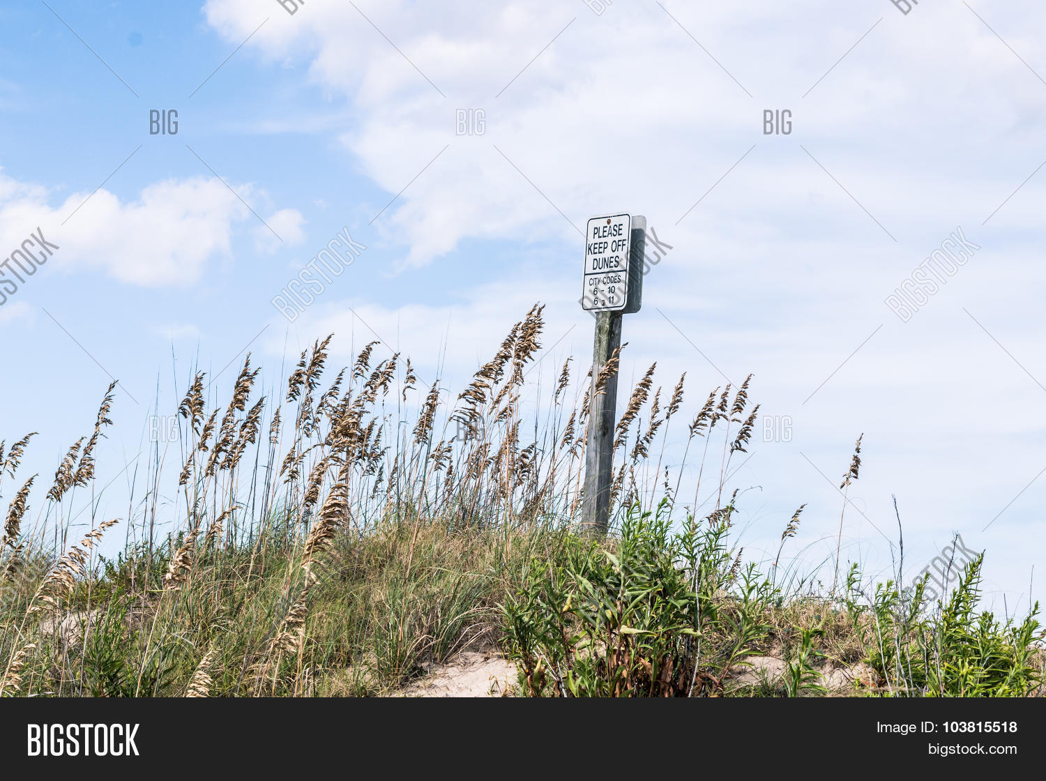 Warning Sign On Dunes Image & Photo (Free Trial) | Bigstock