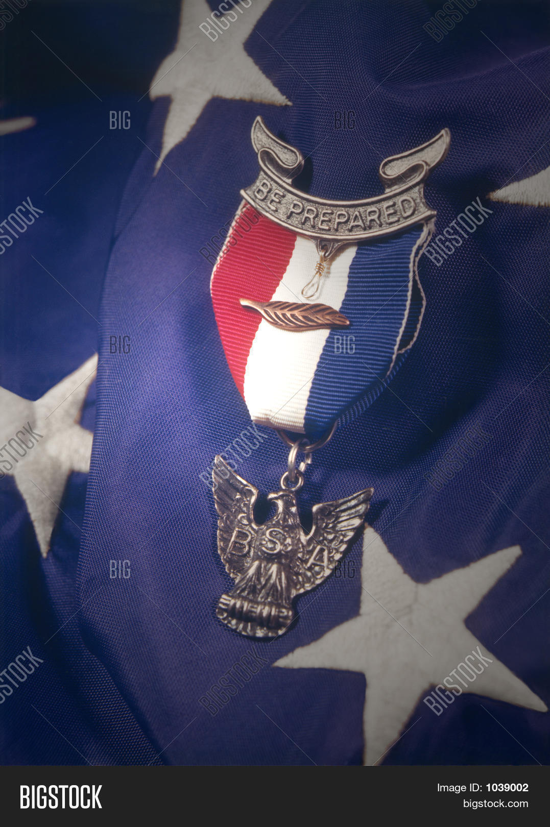Eagle Scout Image & Photo (Free Trial) | Bigstock