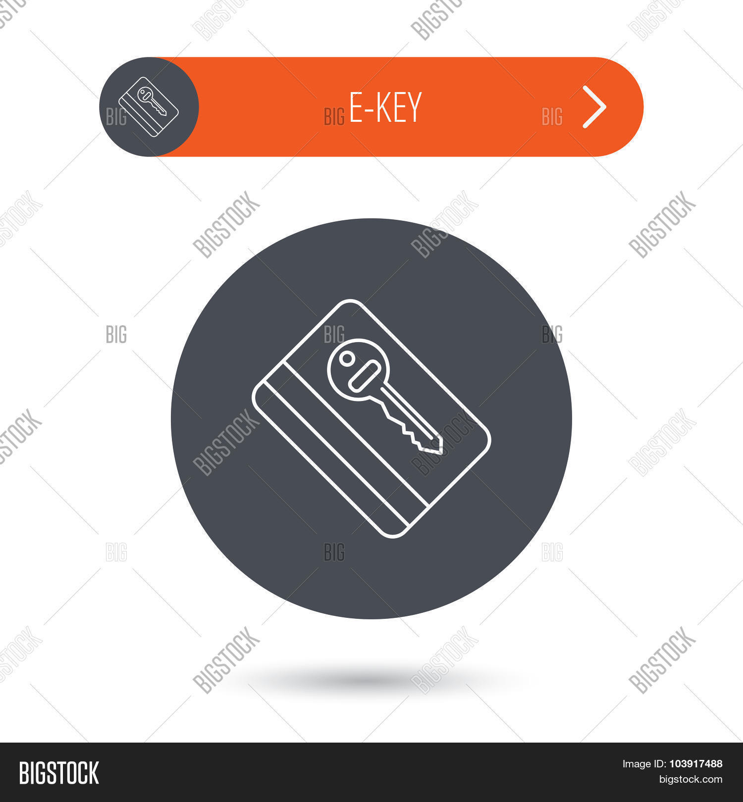 Electronic Key Icon. Vector & Photo (Free Trial) | Bigstock