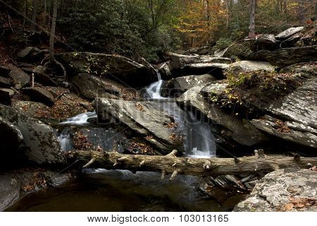 Log Across Stream Image & Photo (Free Trial) | Bigstock