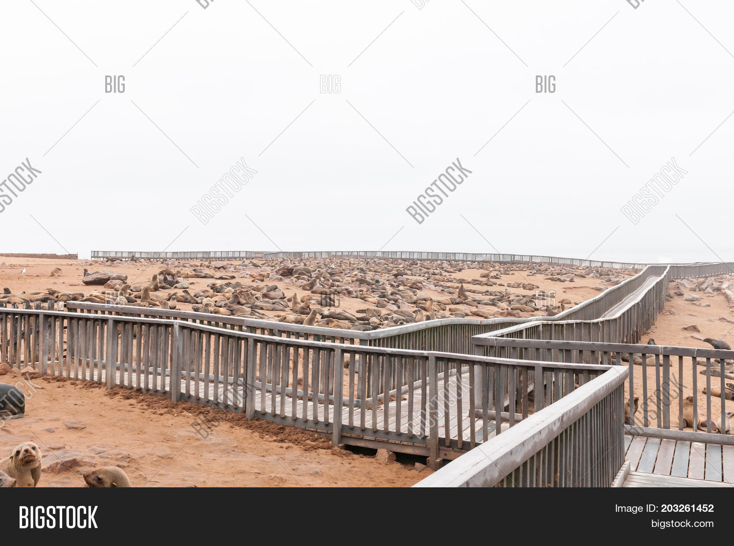 CAPE CROSS NAMIBIA - Image & Photo (Free Trial) | Bigstock