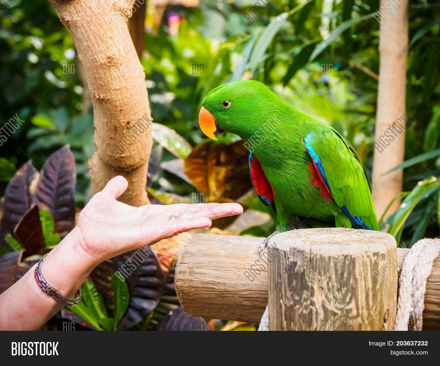 Human Arm Extends Image & Photo (Free Trial) | Bigstock