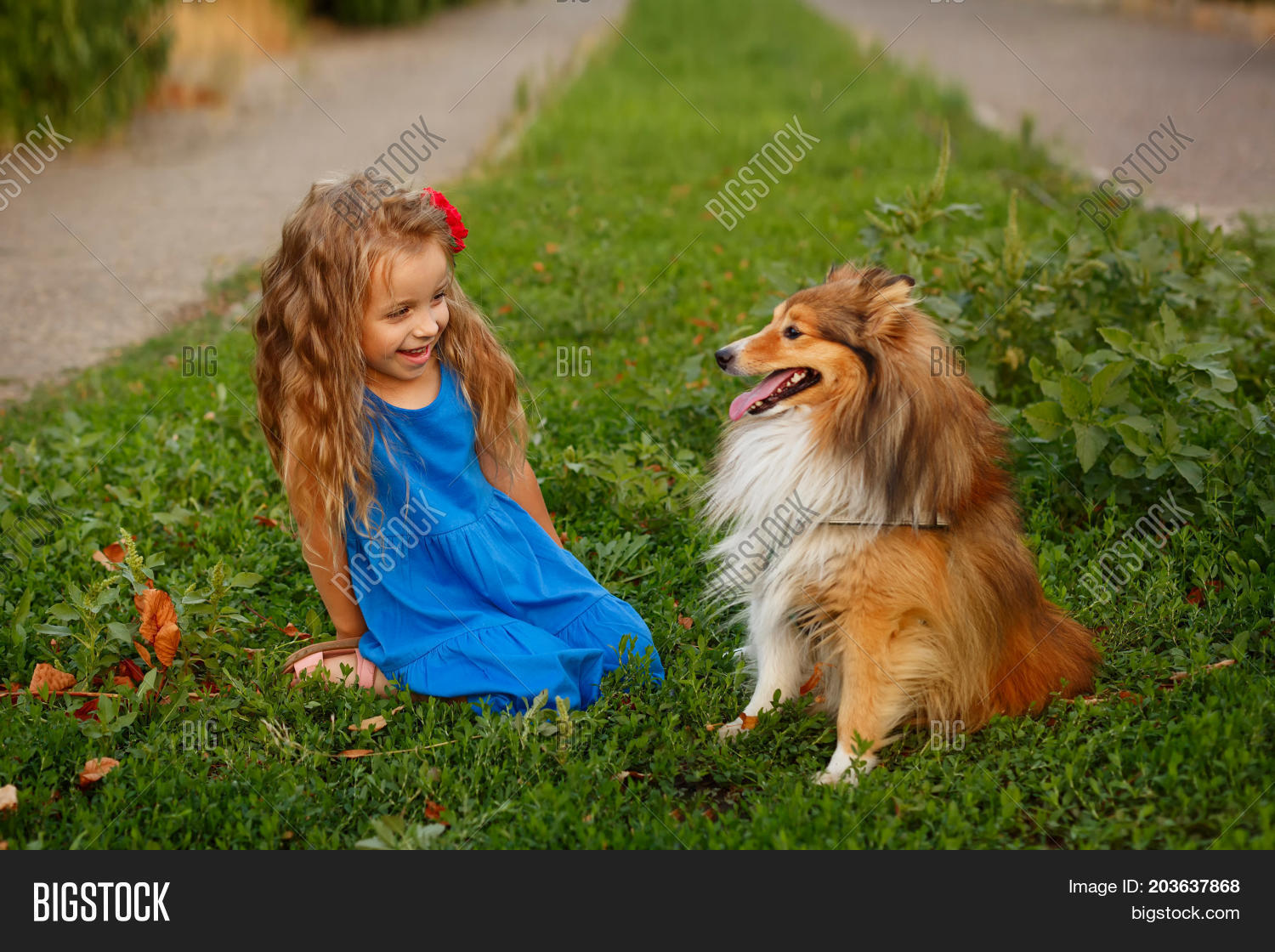 Cute Little Girl Dog Image & Photo (Free Trial) | Bigstock