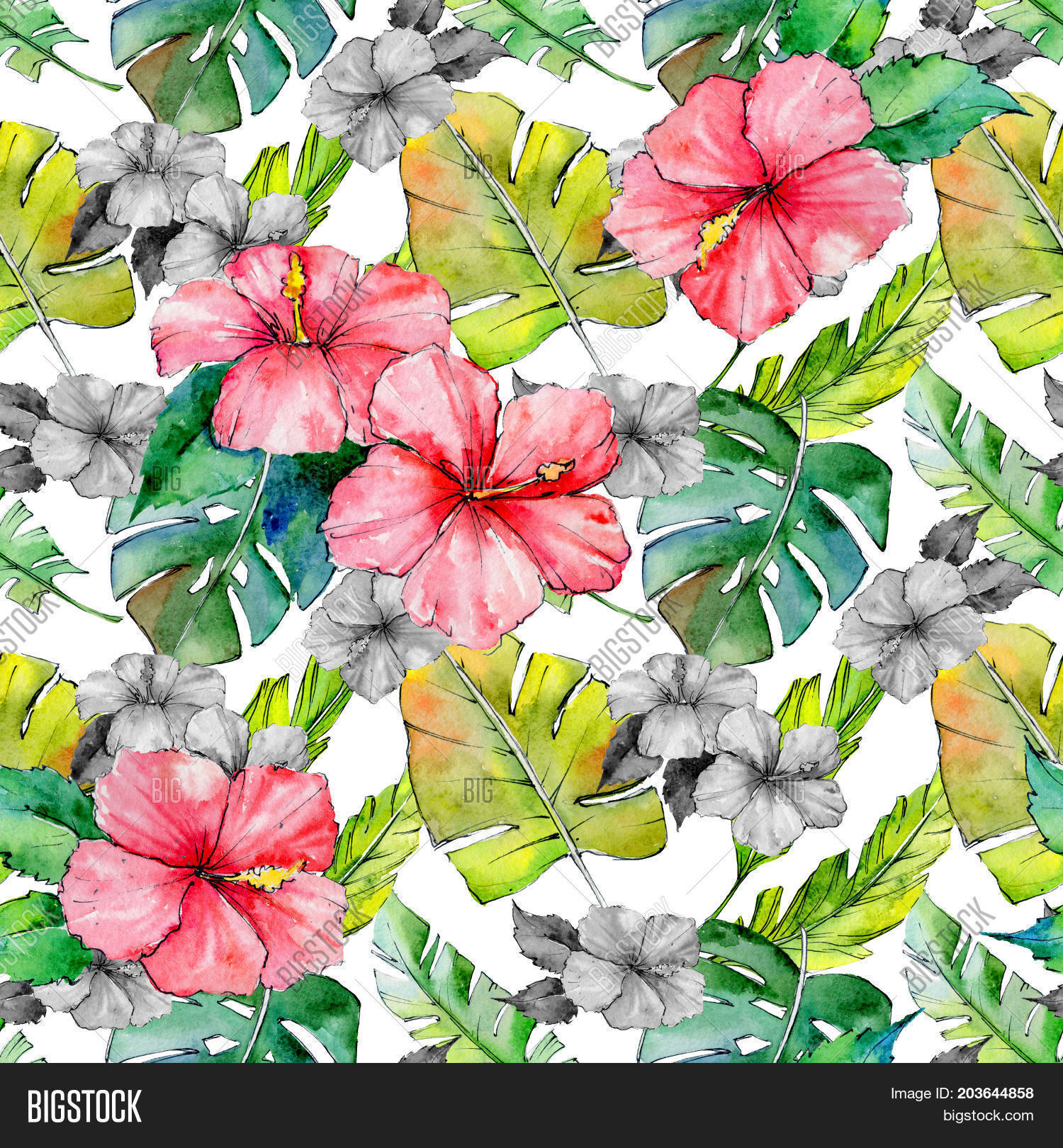 Tropical Hawaii Leaves Image & Photo (Free Trial) | Bigstock
