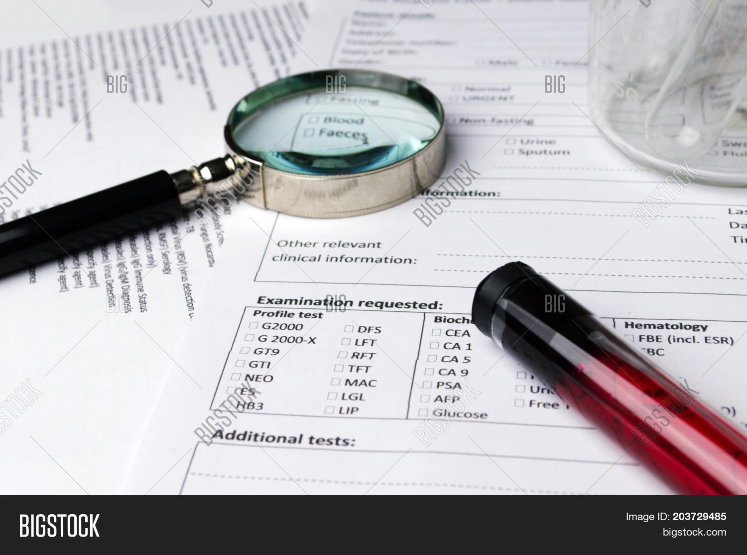 Magnifying Glass Image & Photo (Free Trial) | Bigstock