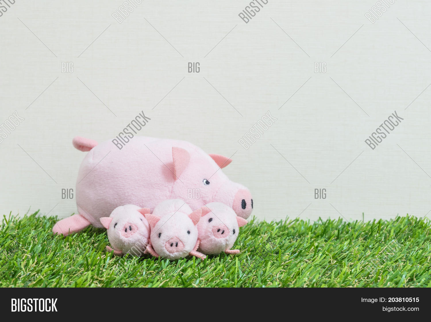 Closeup Cute Pink Pig Image & Photo (Free Trial) | Bigstock