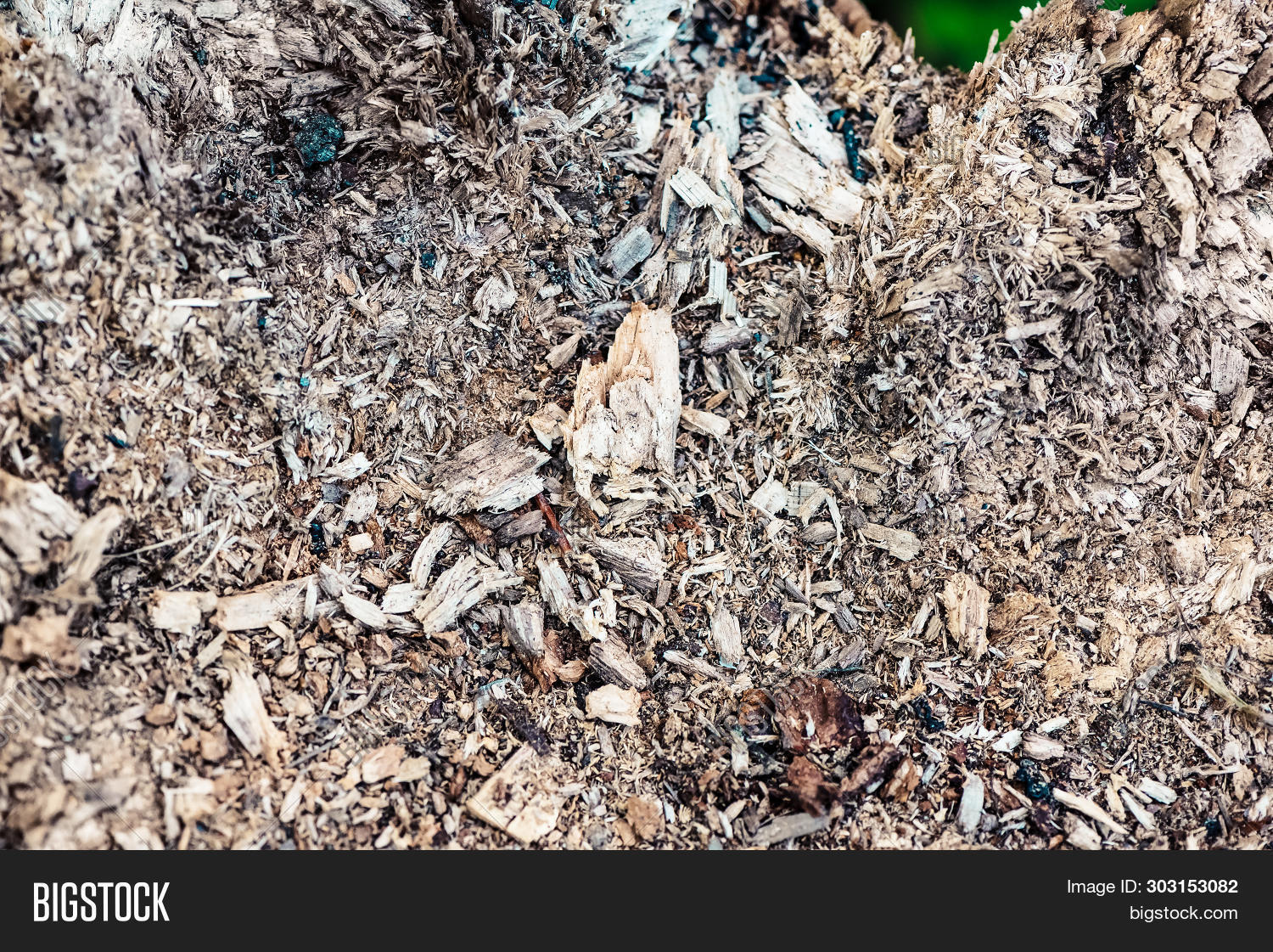 Wooden Dry Sliver Image & Photo (Free Trial) | Bigstock