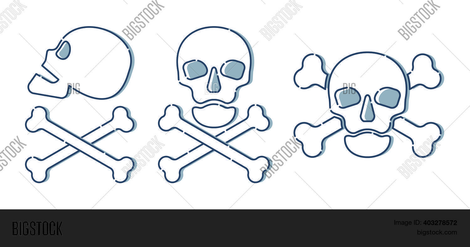 Human Skull Side Full Vector & Photo (Free Trial) | Bigstock