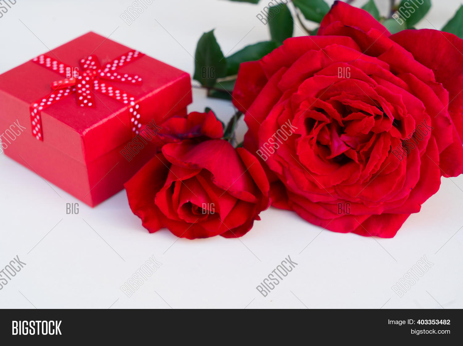 Dark Red Fresh Roses Image & Photo (Free Trial) | Bigstock