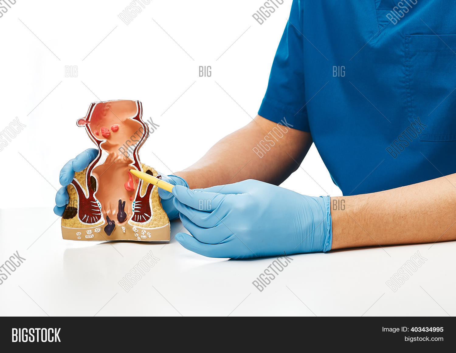 Proctologist Pointing Image & Photo (Free Trial) | Bigstock