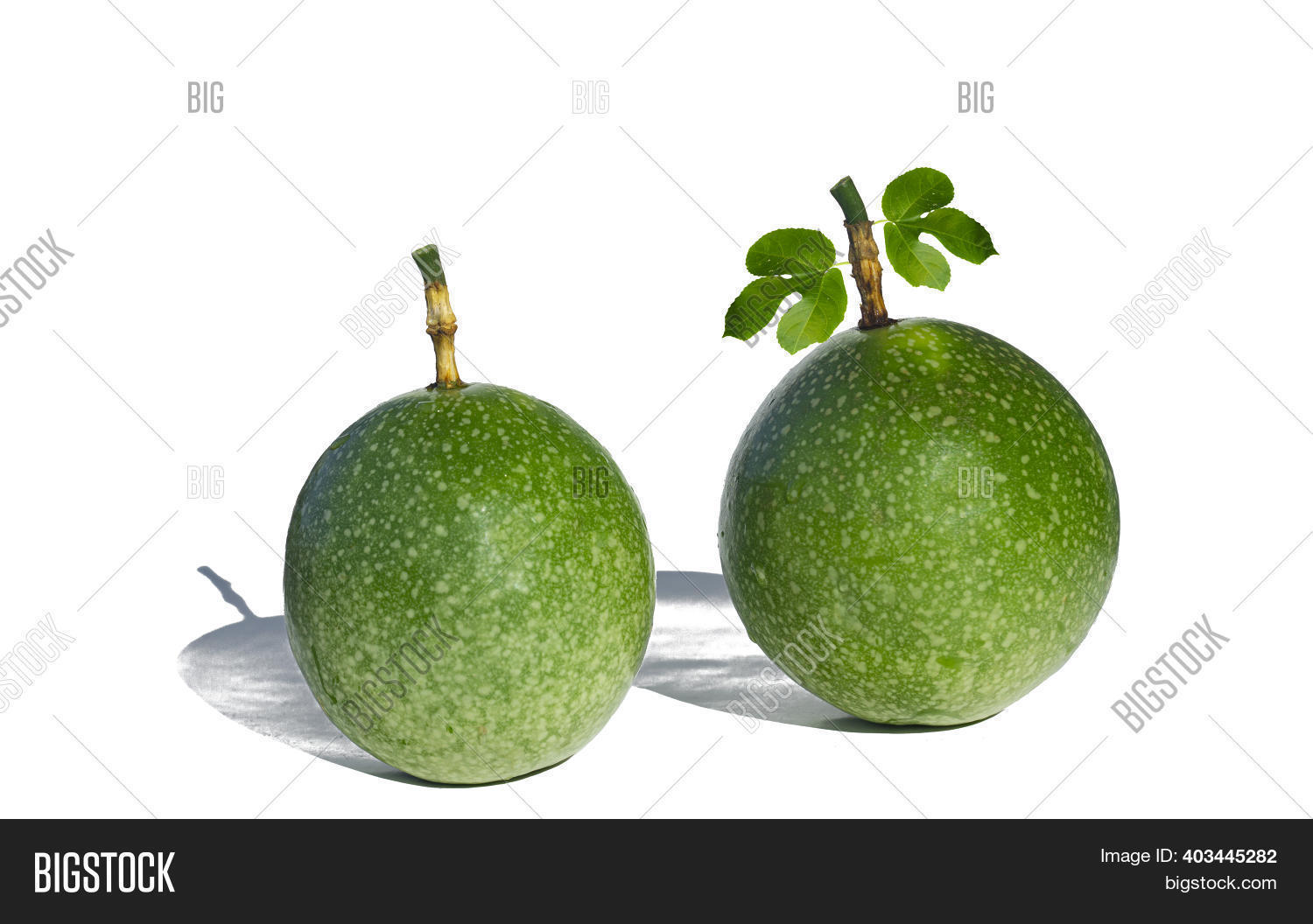 Single Fruit Green Image & Photo (Free Trial) | Bigstock