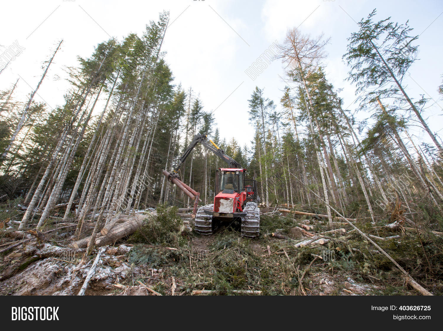 Deforestation. Modern Image & Photo (Free Trial) | Bigstock