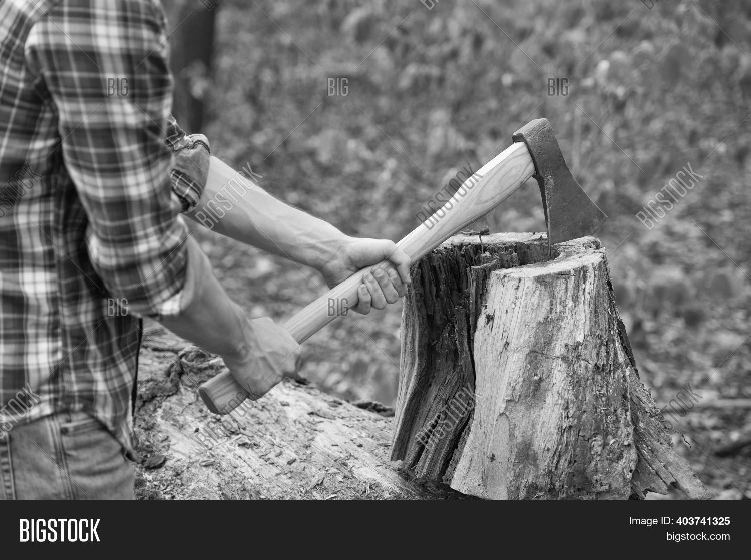 Cutting Some Firewood Image & Photo (Free Trial) | Bigstock