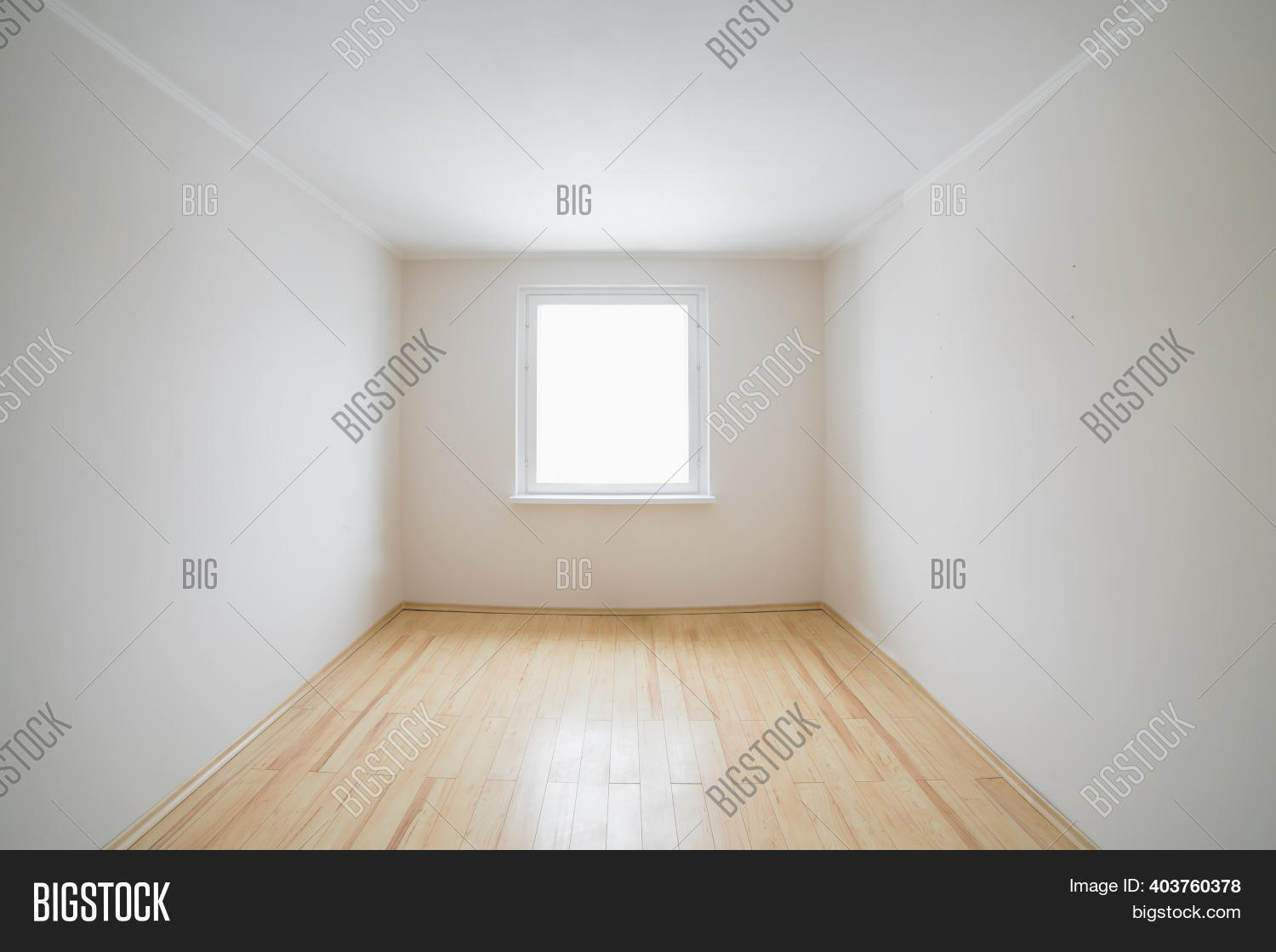 Empty White Room Image & Photo (Free Trial) | Bigstock
