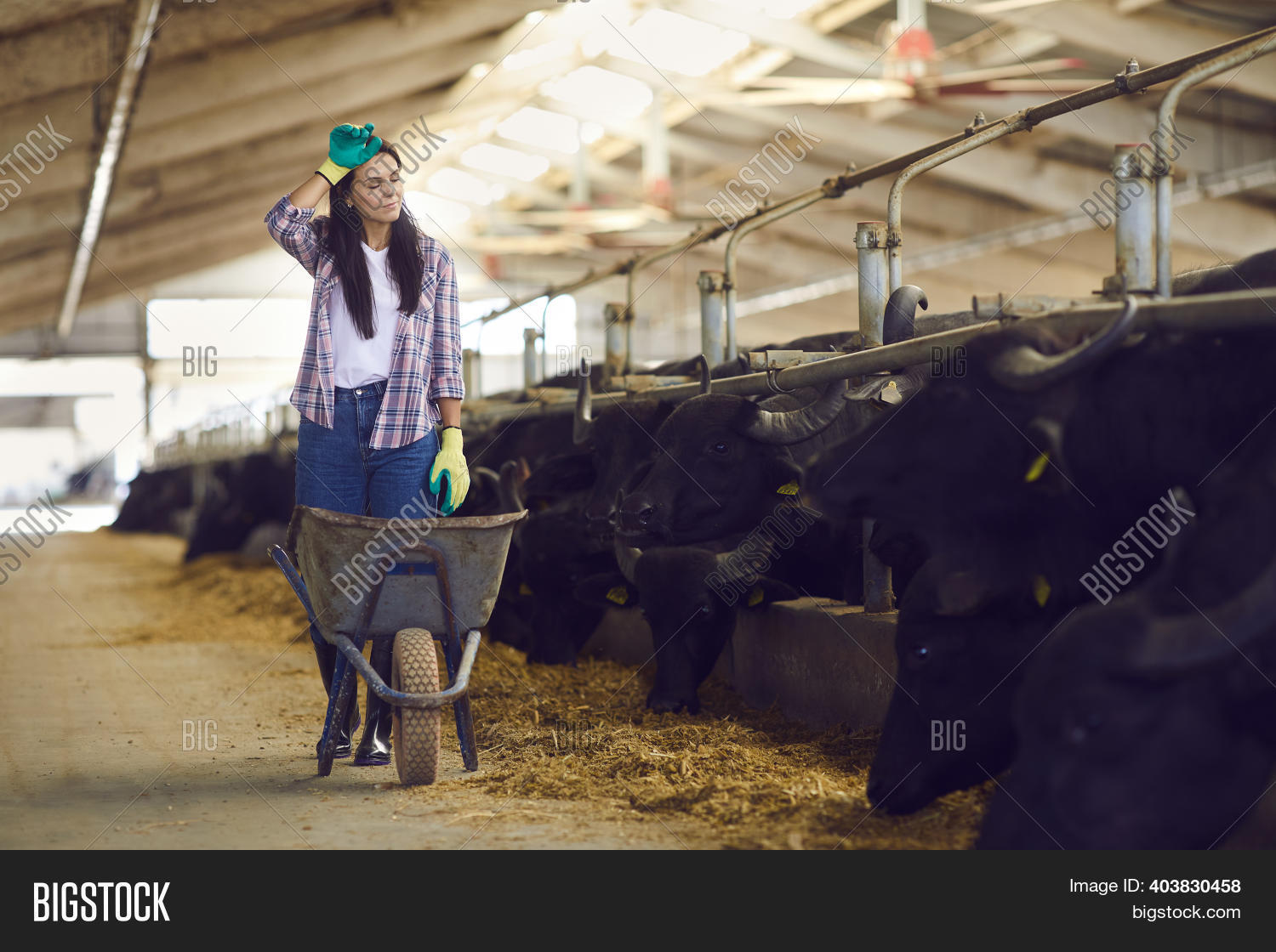 Tired Female Farmer Image & Photo (Free Trial) | Bigstock