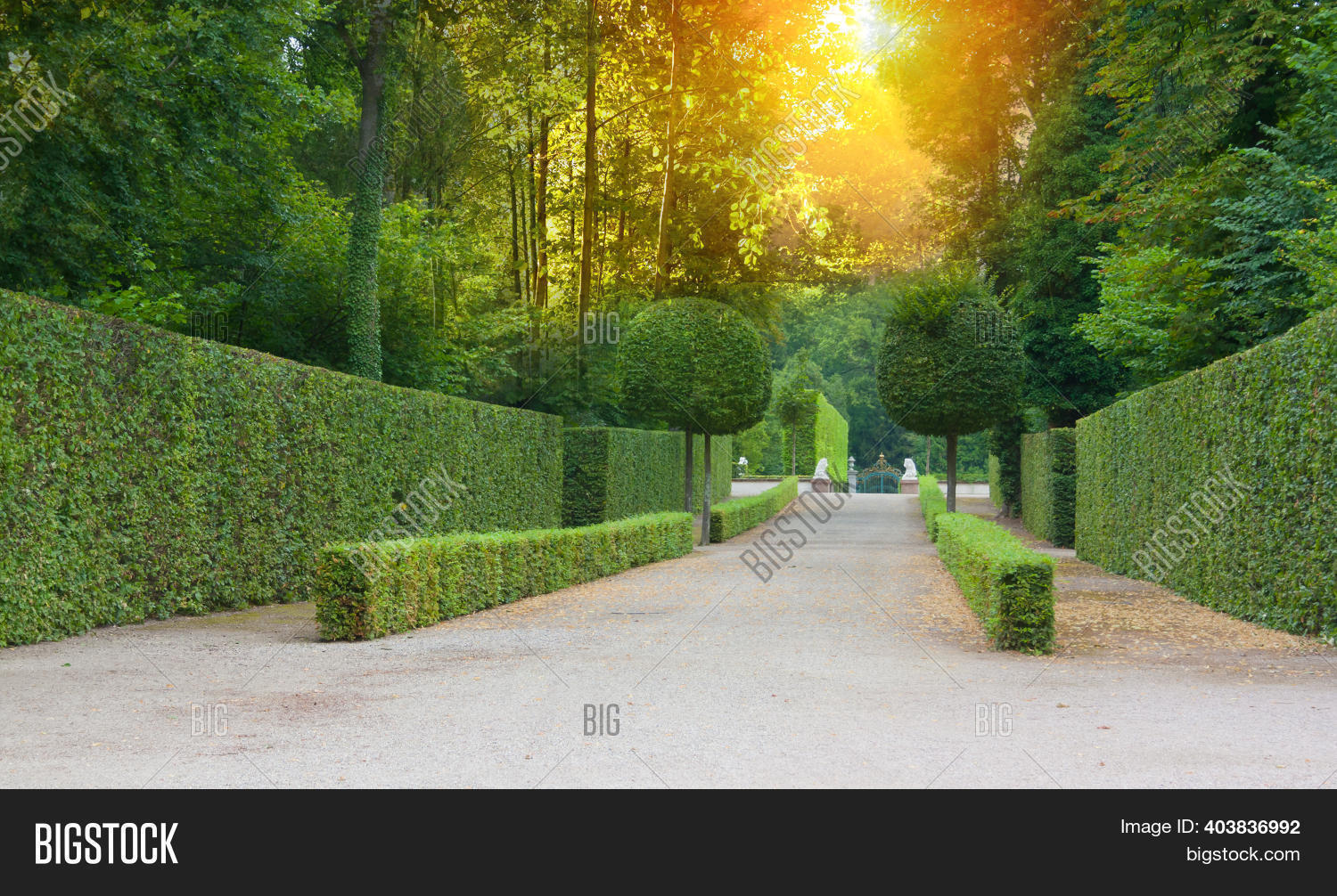 Beautiful Garden Green Image & Photo (Free Trial) | Bigstock