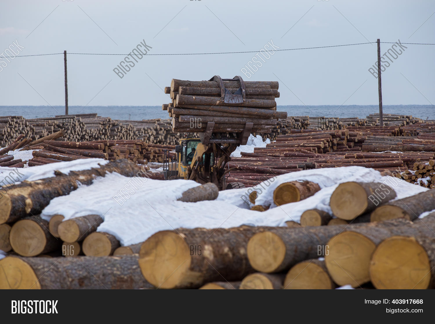 Open-air Timber Image & Photo (Free Trial) | Bigstock