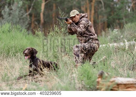 Hunting Dog Chasing Image & Photo (Free Trial) | Bigstock