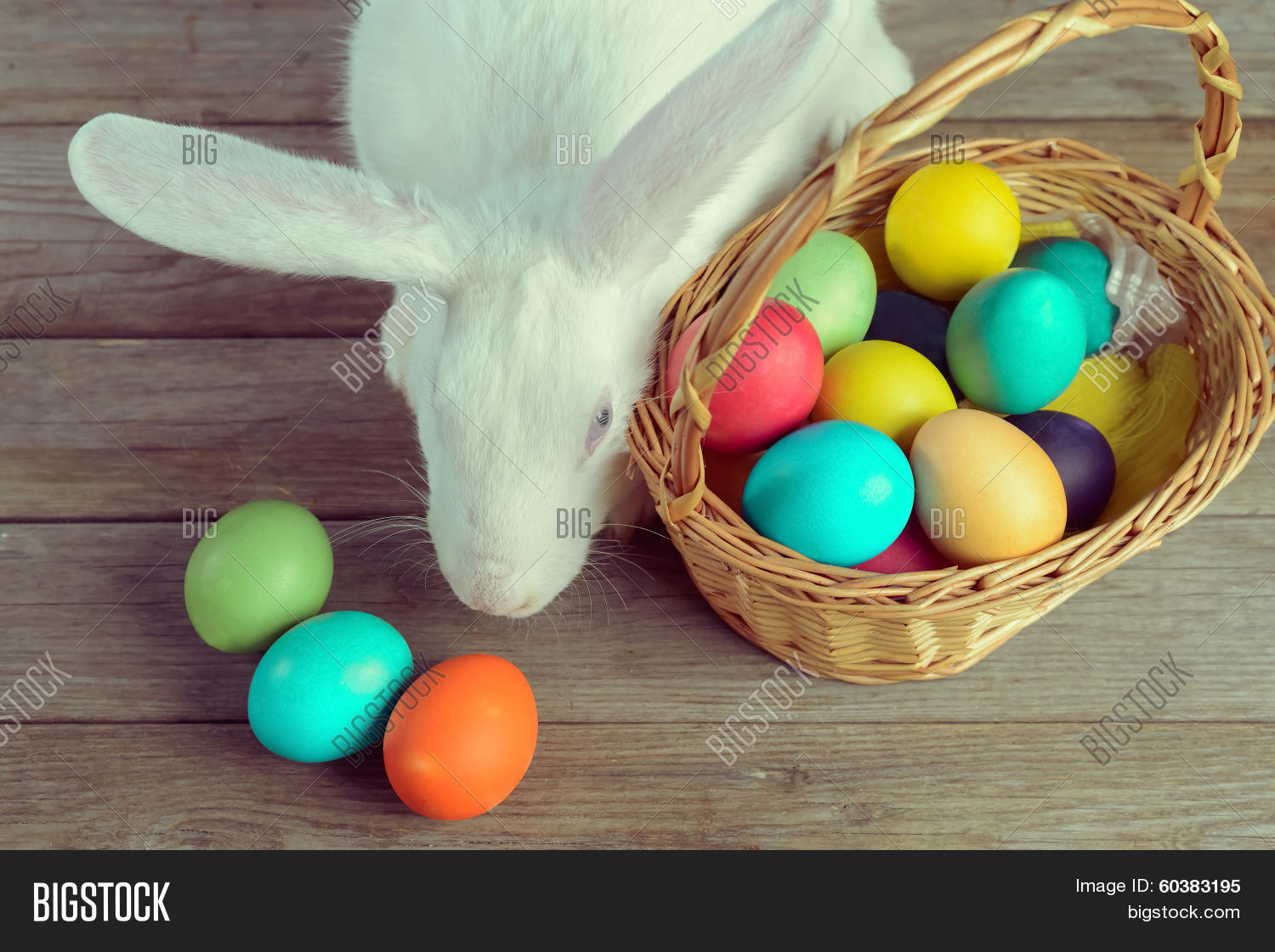White Easter Bunny Image & Photo (Free Trial) | Bigstock