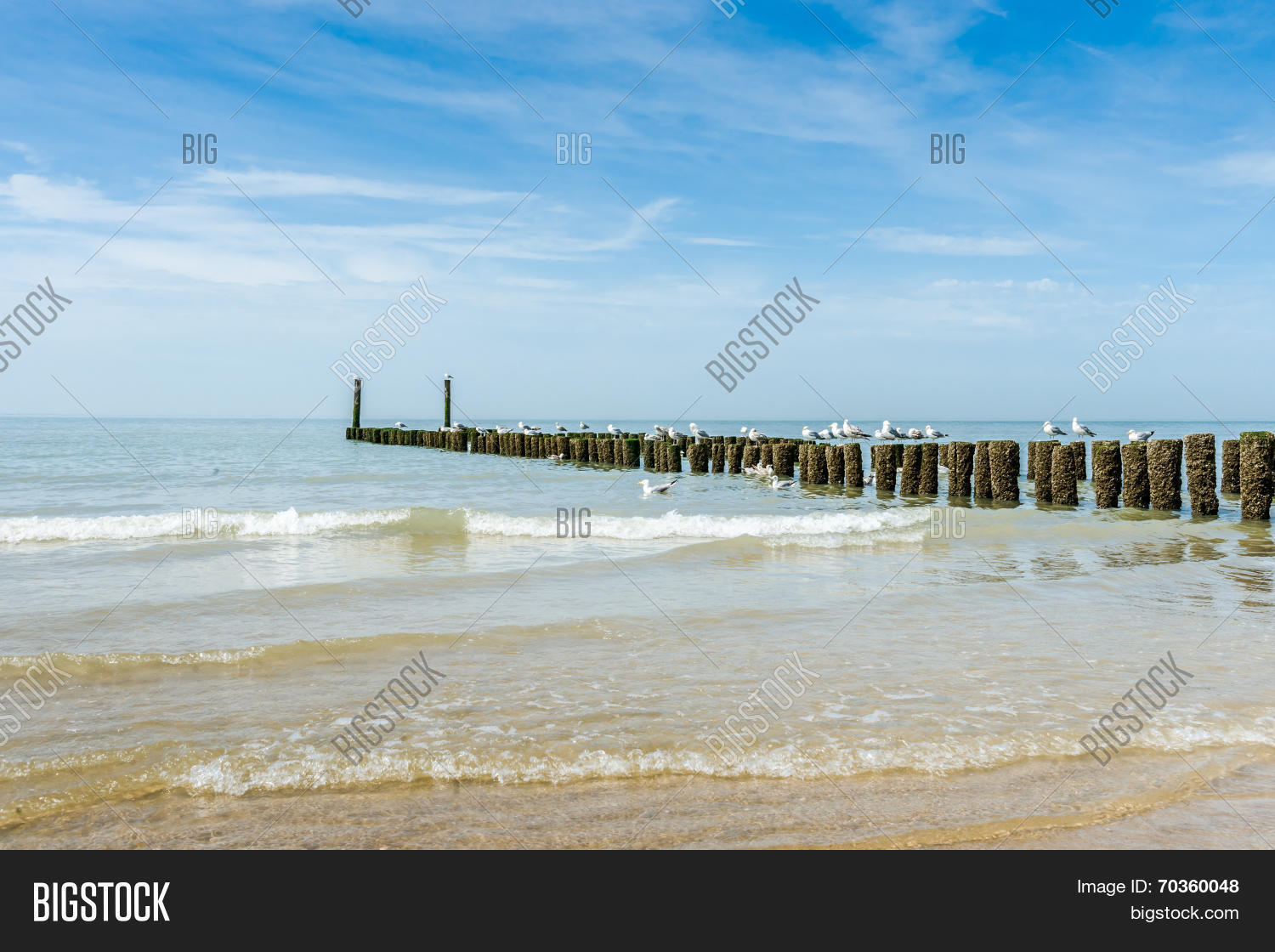 Timber Groynes On Image & Photo (Free Trial) | Bigstock
