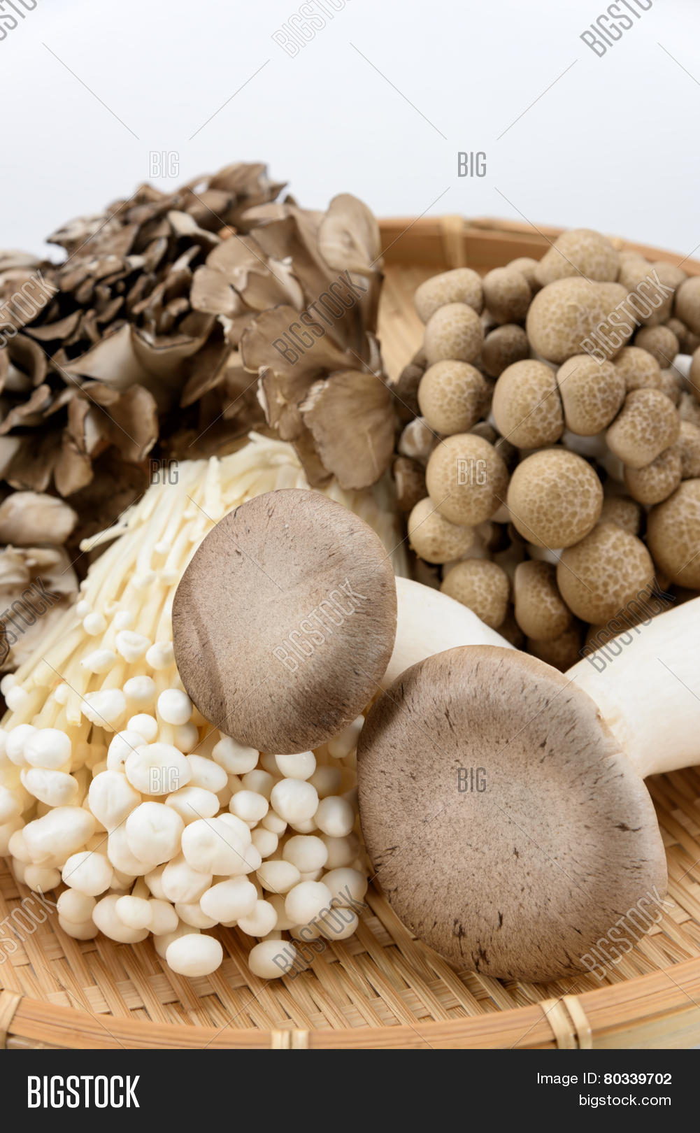 Assorted Mushrooms Image & Photo (Free Trial) | Bigstock