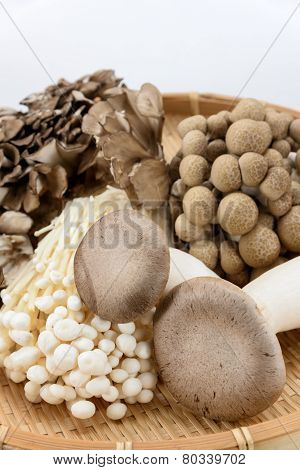 Assorted Mushrooms Image & Photo (Free Trial) | Bigstock