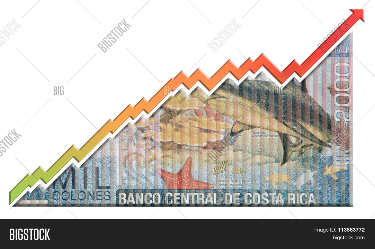 Money Growth Graph Image & Photo (Free Trial) | Bigstock