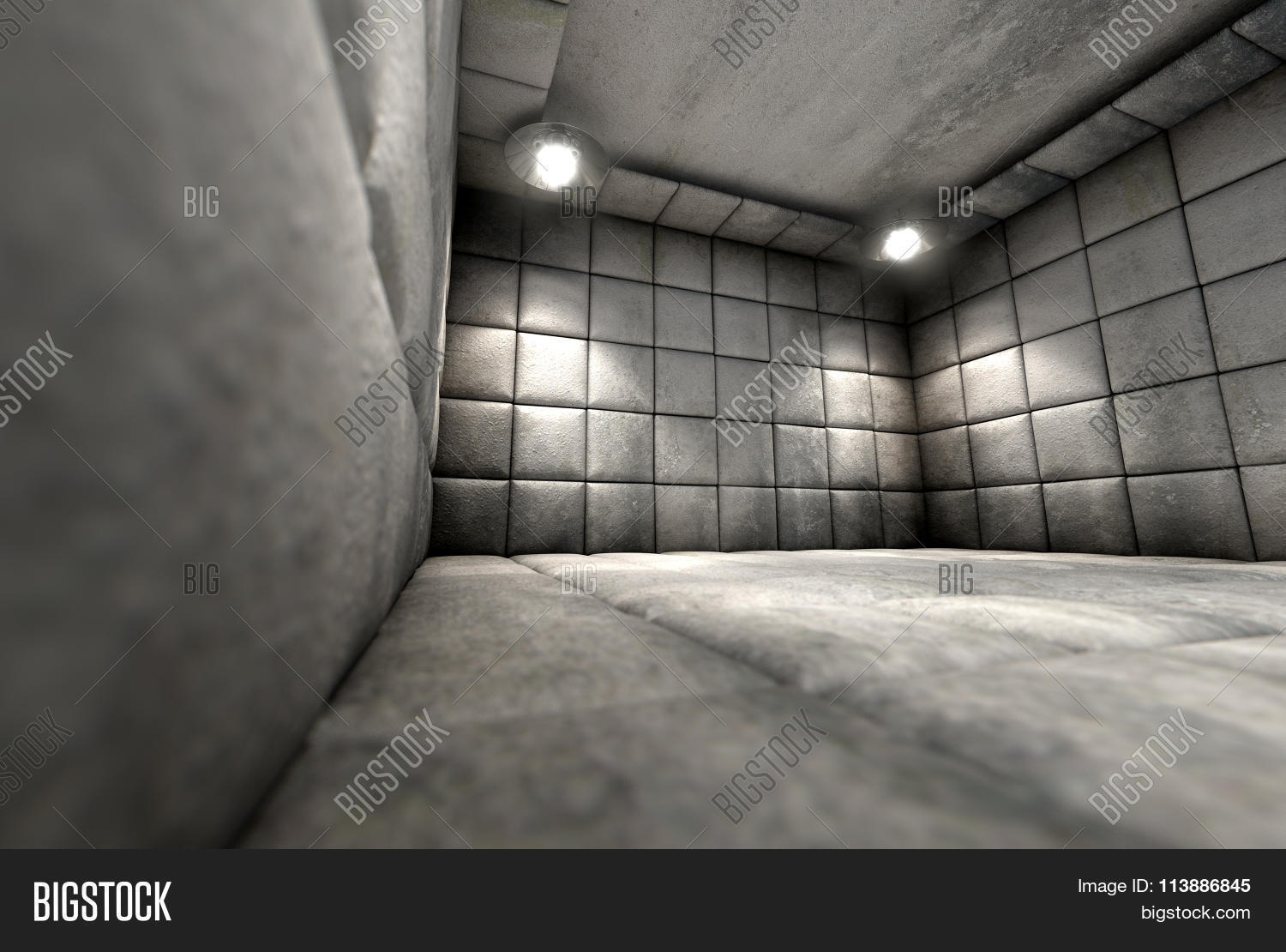 Padded Cell Dirty Image & Photo (Free Trial) | Bigstock