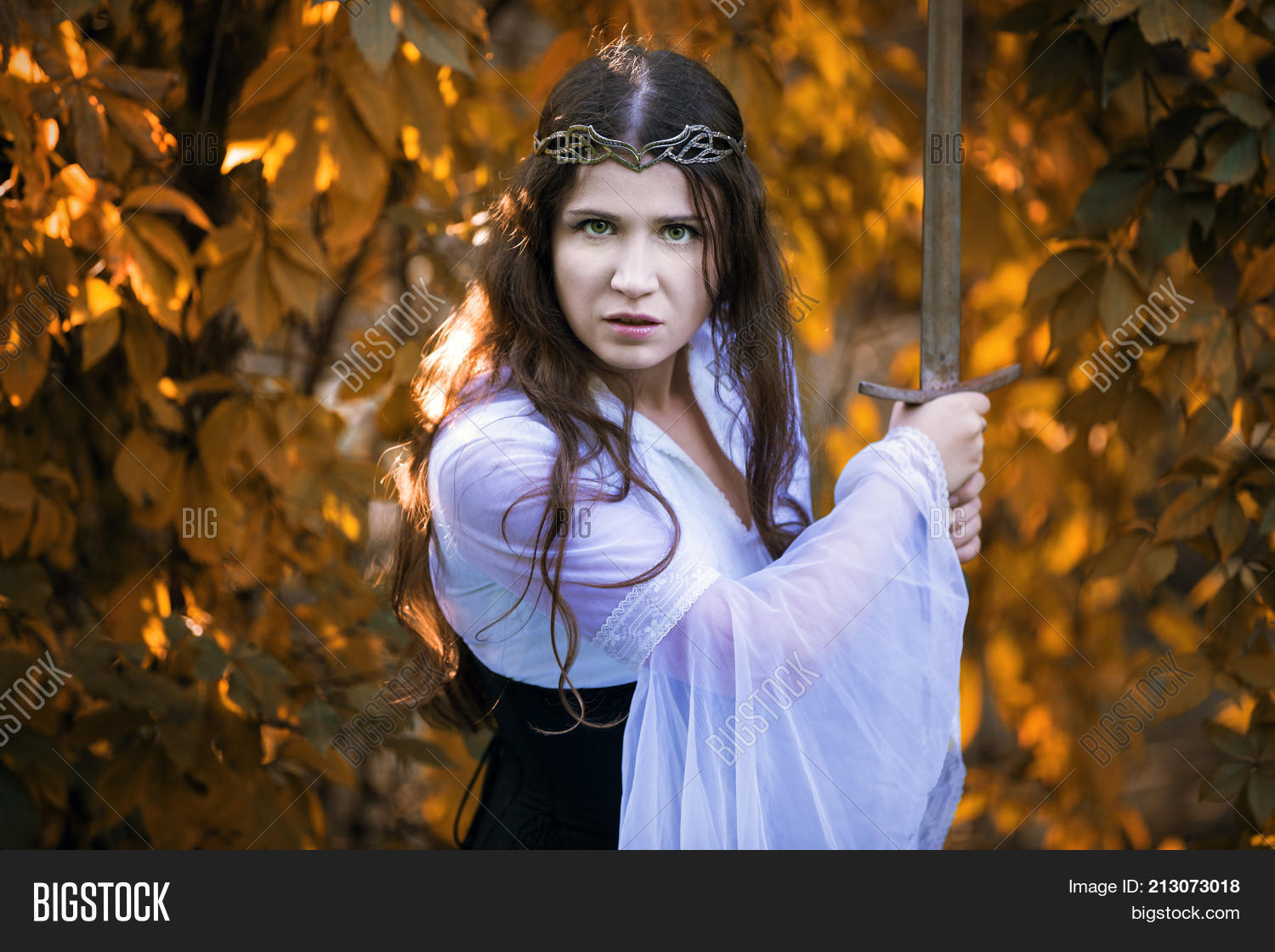 Warrior Princess Sword Image & Photo (Free Trial) | Bigstock