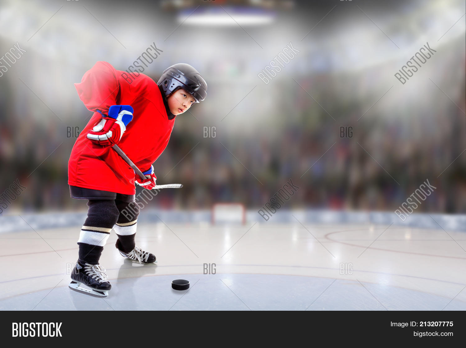 Low Angle View Hockey Image & Photo (Free Trial) | Bigstock