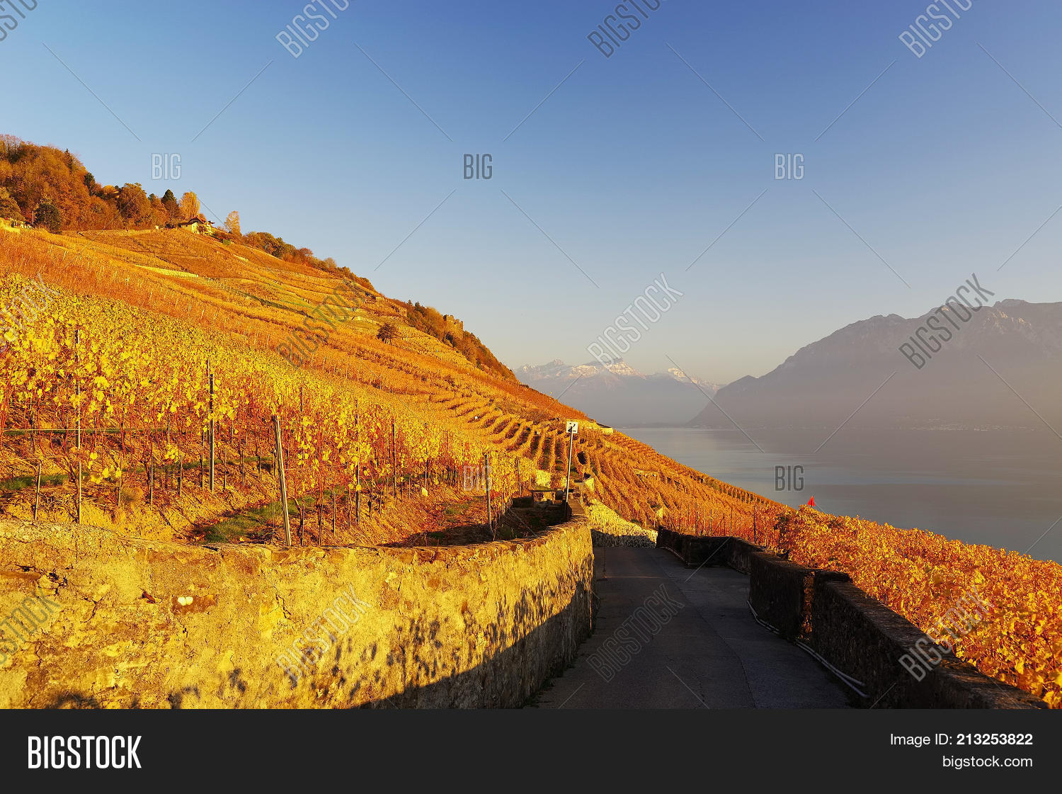Vineyard Terraces Image & Photo (Free Trial) | Bigstock