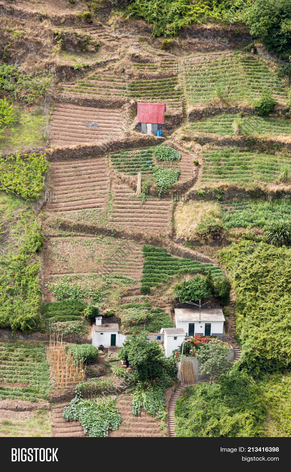Village Terrace Image & Photo (Free Trial) | Bigstock