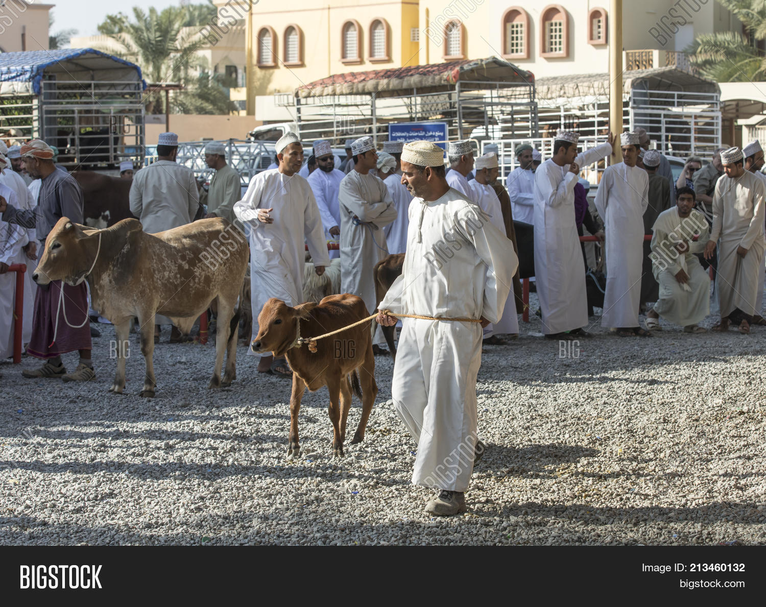 Omani People Image & Photo (Free Trial) | Bigstock