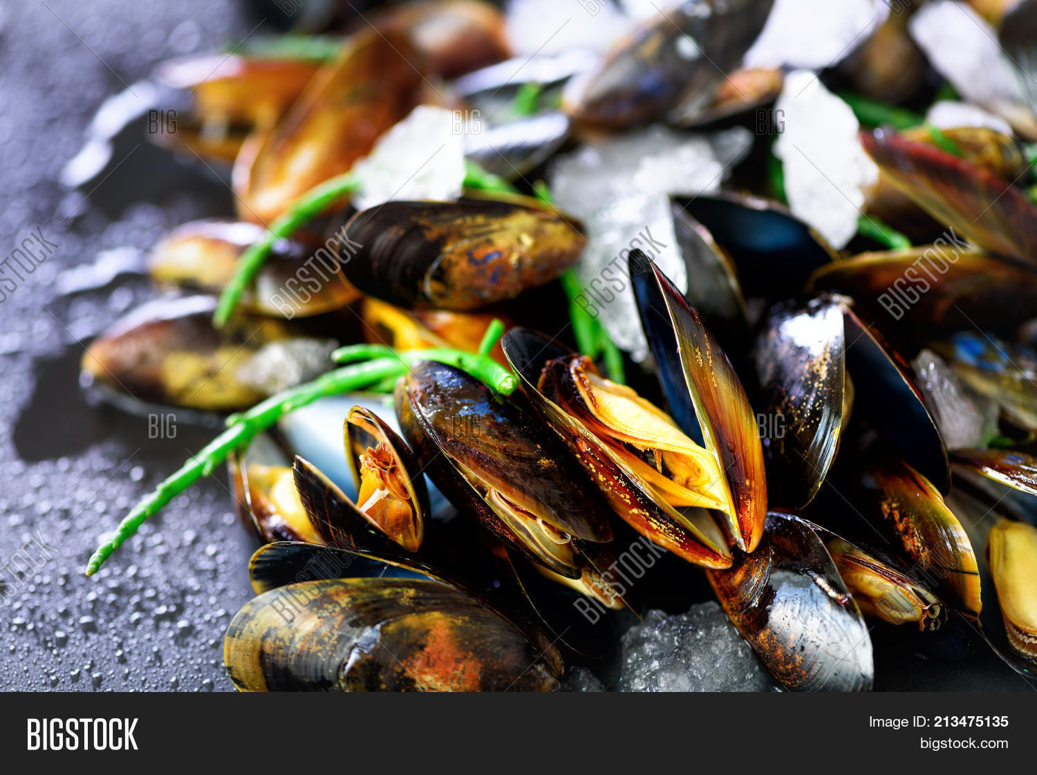 Mussels, Molluscs, Image & Photo (Free Trial) | Bigstock