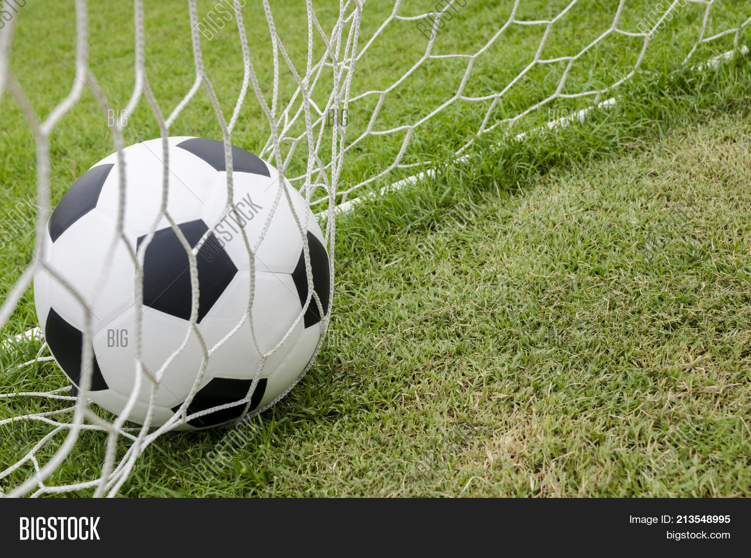Football Net On Green Image & Photo (Free Trial) | Bigstock
