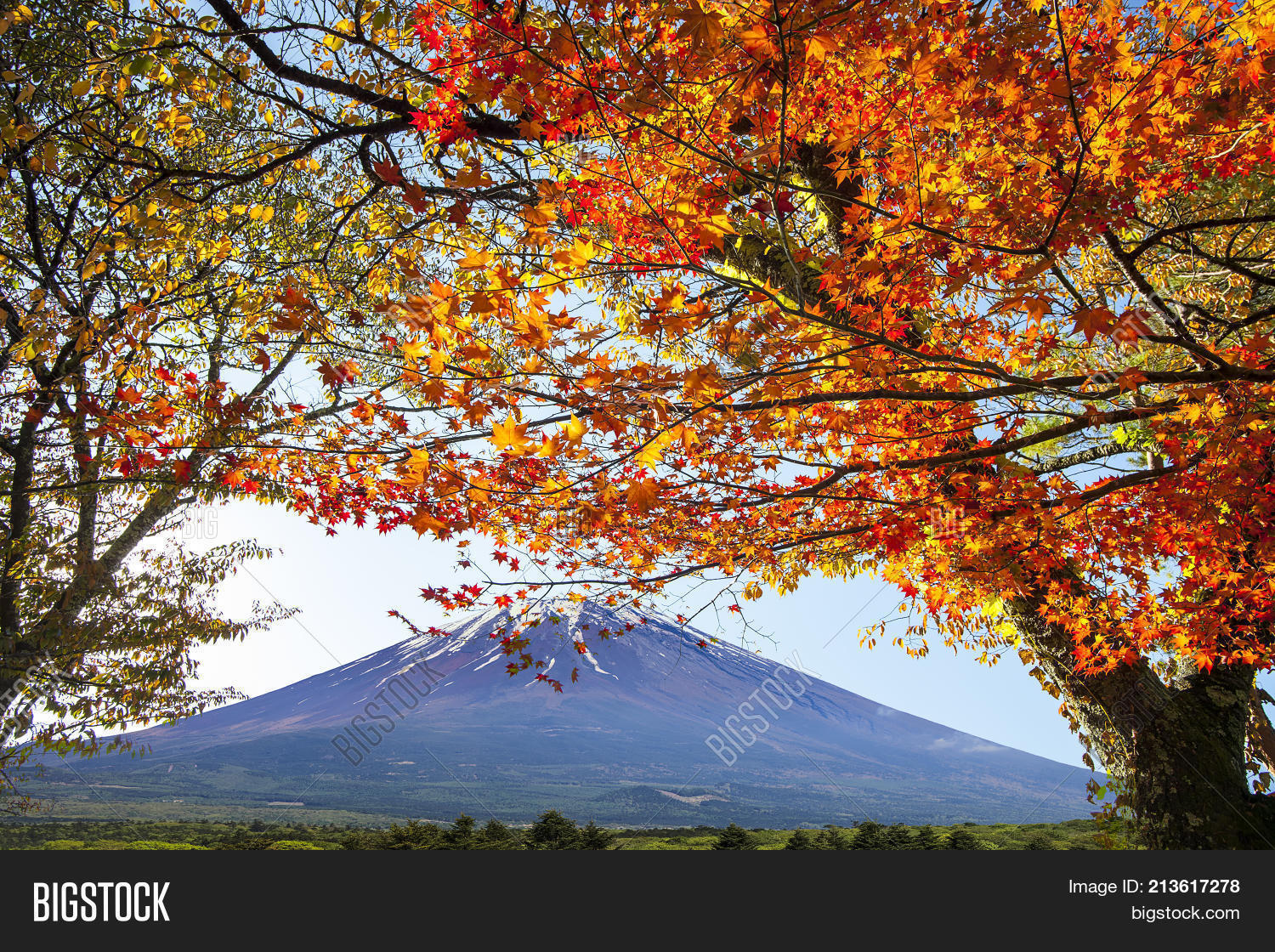 Mt.fuji Autumn On Image & Photo (Free Trial) | Bigstock