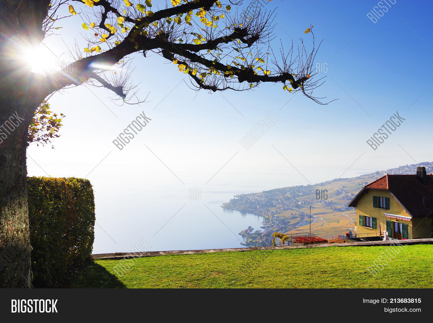 Vineyard Terraces Image & Photo (Free Trial) | Bigstock
