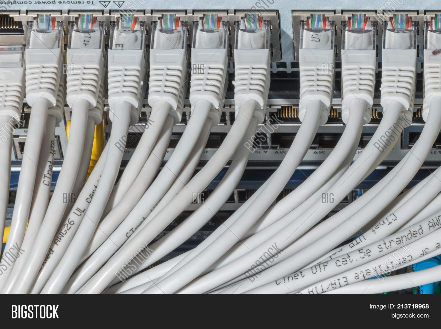 Network Cables Image & Photo (Free Trial) | Bigstock