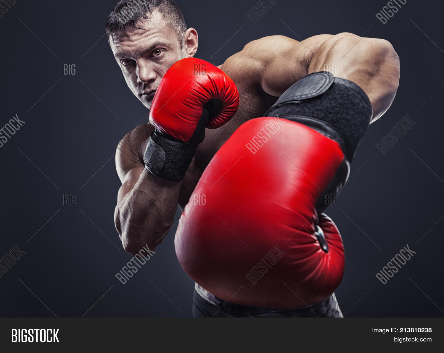 Boxing Concept. Boxer Image & Photo (Free Trial) | Bigstock