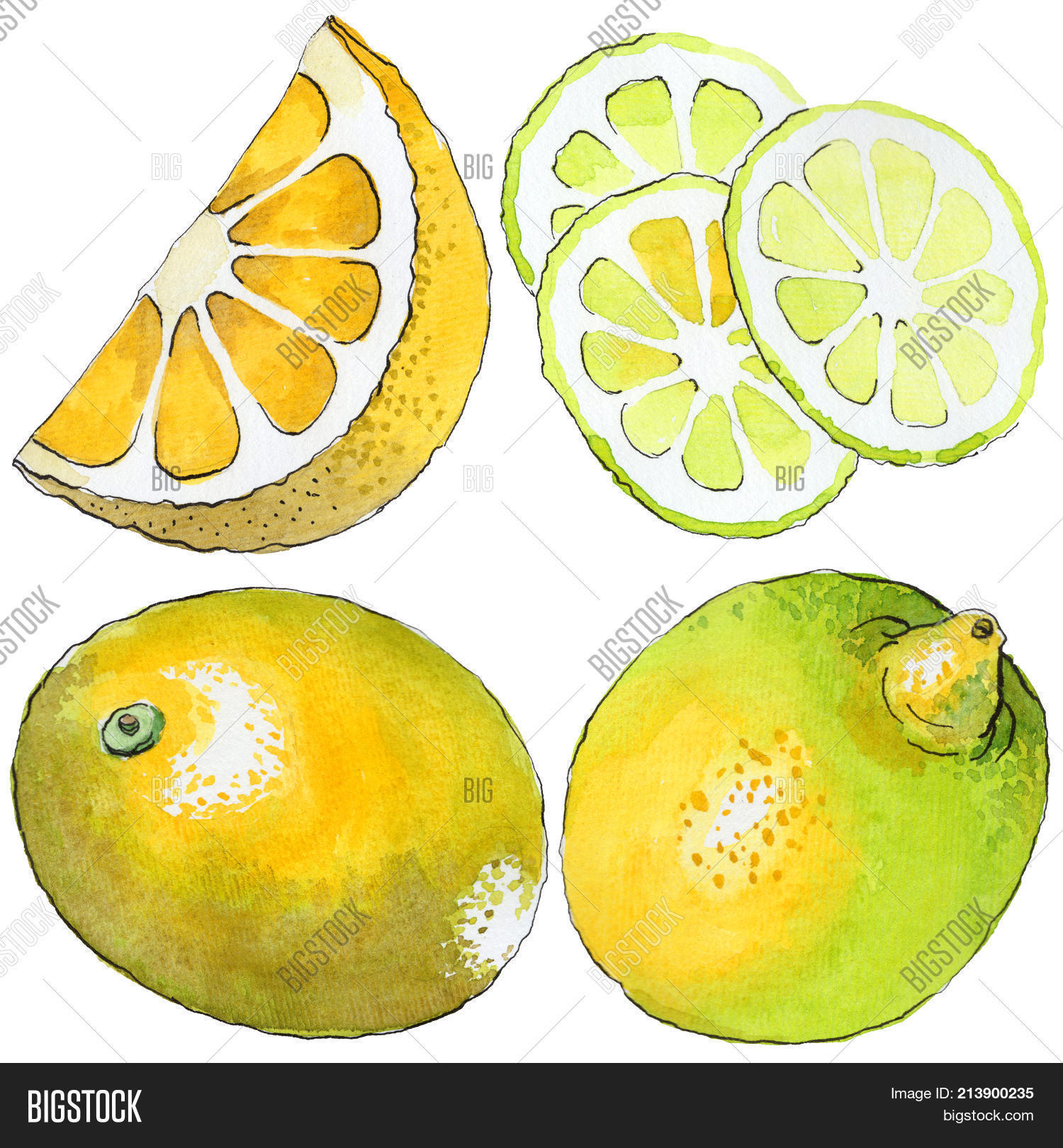 Exotic Lemon Healthy Image & Photo (Free Trial) | Bigstock